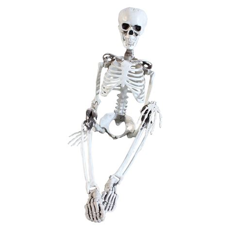Buy Halloween Skeleton Prop Deco Halloween Skeleton Life Size Full Body