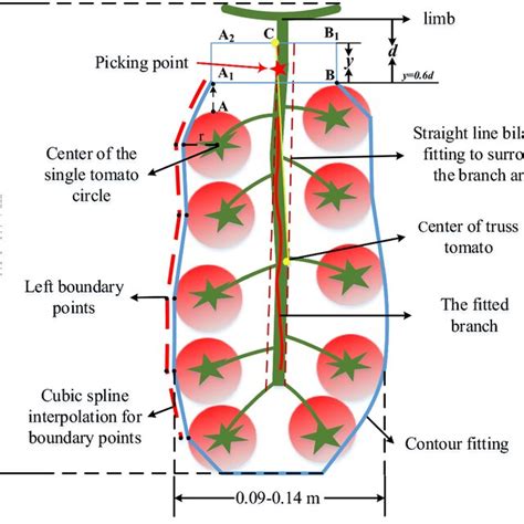 An Example Of The Lbp Feature Extraction Process In Which A