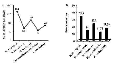 Species Specific Tick Infestation In Cattle A Number Of Identified Download Scientific