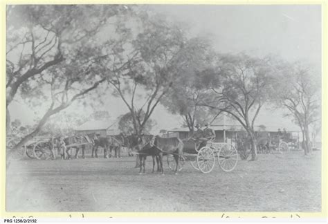 Marfield Station Near Ivanhoe • Photograph • State Library Of South Australia