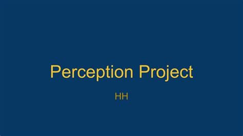 Perception Projectpdf