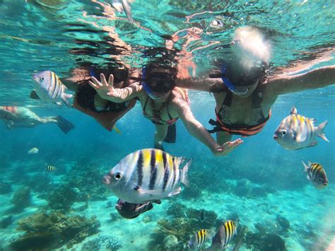 Snorkel Tours Isla Mujeres Isla Mujeres Trips