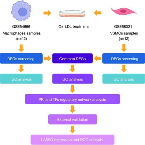 The Flowchart Of The Analytic Procedure Ox Ldl Oxidized Low Density Download Scientific