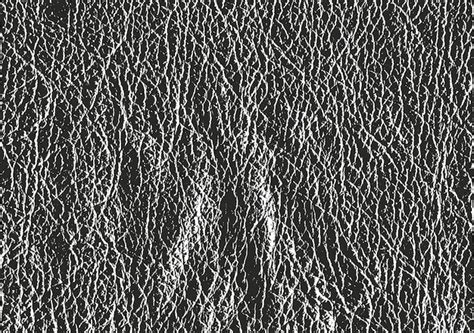 Eel Texture Vectors And Illustrations For Free Download