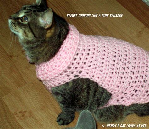 Cat Coat Knitting Pattern At Darrel Ferreira Blog