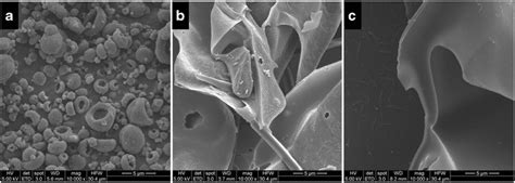 Scanning Electron Micrographs Of Mannitol Formulations A Spray Dried