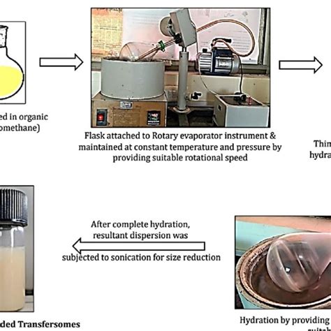 Formulation Methodology Of Transferosomes Download Scientific Diagram