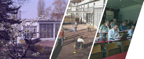 Structure Dune Cellule Bactérienne Insei