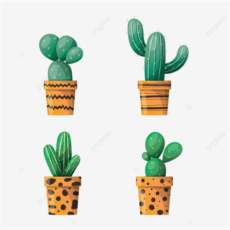 Cactus Illustration Set Vector Cactus Cactus Pot Plant Png And