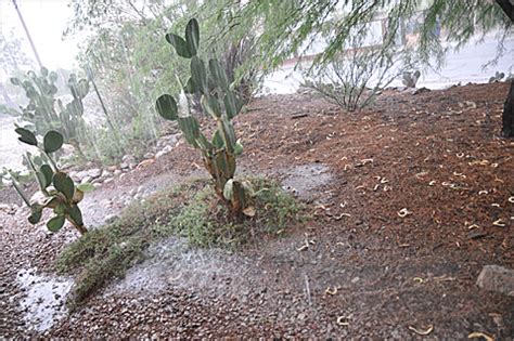 Nature Photography One Inch Rain Western Sky Communications