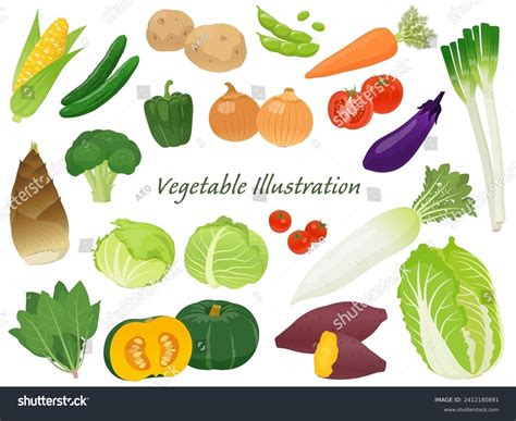 Set Vegetables Vector Illustration Stock Vector Royalty Free 2412180891 Shutterstock