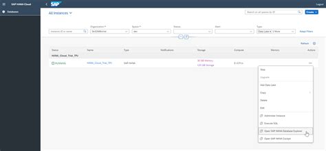 Access A Classic Schema From SAP Business Application Studio SAP Tutorials