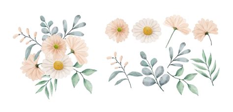 Watercolor Flowers Vector Art Icons And Graphics For Free Download