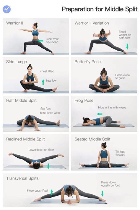 Contortionist Names At Jeanne Phillips Blog