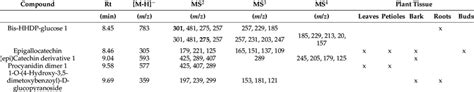 Tentative Identification Of The 91 Phenolic Compounds From The Leaves Download Scientific
