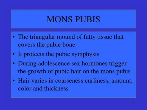 Ppt Understanding Female Reproductive Anatomy The Vulva And External