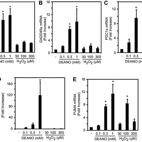 Nitric Oxide And H2o2 Induced Differential Stress Responsive Gene