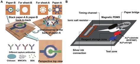 Multiple Paper Based Devices With Functional Components A Schematic