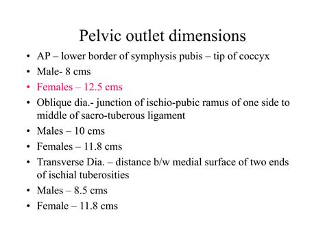 Female Pelvis Anatomy And Physiology Pdf