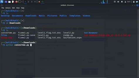 cracking the code picoctf general skills convertme py walkthrough
