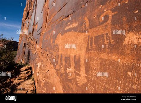 Panneau Ours Banque Dimage Et Photos Alamy