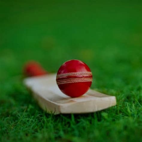 Saimuddin Cricket Youtube