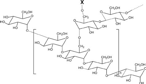 Representative Formula Of Amylopectin Rich Starch X 1⁄4 H And Its