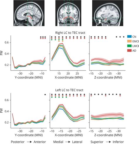 Fw In The Locus Coeruleus To Transentorhinal Cortex Tract Download