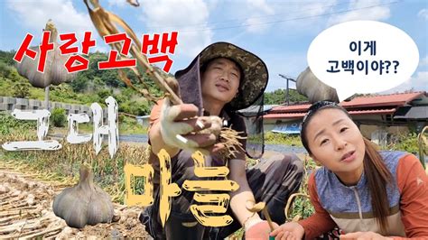 마늘 양파 수확하면 이런 일이 생깁니다 Youtube