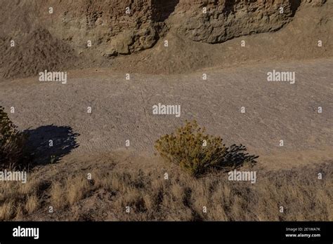 Ballroom And Dance Steps Of Multiple Dinosaur Footprints At Red Gulch
