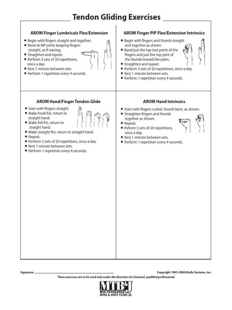 Tendon Gliding Exercises Pdf Hand Finger