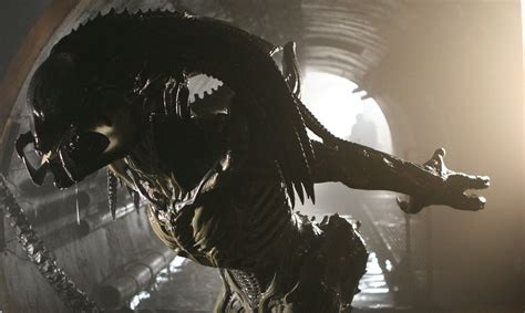 Alien Vs Predator Predalien