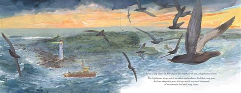 Notably Excited Announcement Of The 2020 Cbca Notables Csiro Publishing