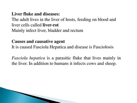 Ppt Lymphatic Filariasis Elephantiasis Causative Agent Etiology Powerpoint Presentation