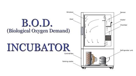 Incubator Diagram With Parts Incubator Microbiology Incubato