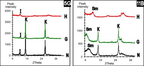 X Ray Diffraction Patterns Of Oriented Clay Fractions From Betty 1 And