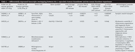 Table 1 From Microarray Expression Analysis Of Human Dopaminergic Neuroblastoma Cells After Rna