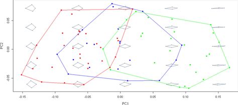 Principal Component Analysis Of Procrustes Analysis The Polygons Download Scientific Diagram
