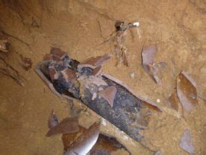 Quick Fix Sewer Clogged With Tree Roots Harriswatermain