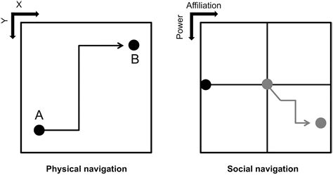 Navigating Social Space Neuron