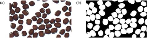 a adzuki bean original image b adzuki bean binary image image