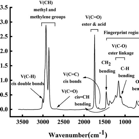 Comparison Between Dispersive IR And FT IR Download Scientific Diagram
