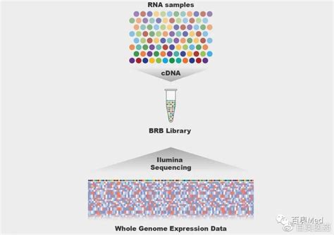 科普讲堂什么是单细胞测序？ 知乎