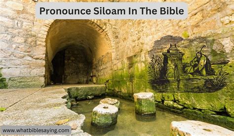 How To Pronounce Siloam In The Bible Biblical Names And Meanings