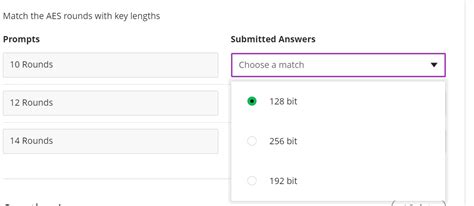 Solved Match The Aes Rounds With Key Lengths Prompts
