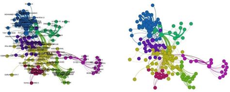 yifan hu proportional network analysis among fmcg shoppers in download scientific diagram