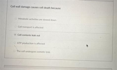 Solved Cell Wall Damage Causes Cell Death Because Metabolic