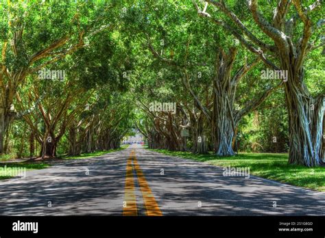 A1a Over Hobe Sound Bridge To Bridge Road Onto Jupiter Island Florida