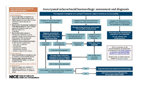 Nice Sah Investigation Algorythm Studocu