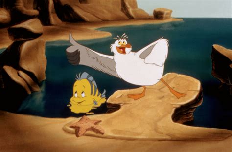 Why Scuttle Isnt A Seagull Anymore In The Little Mermaid Live Action